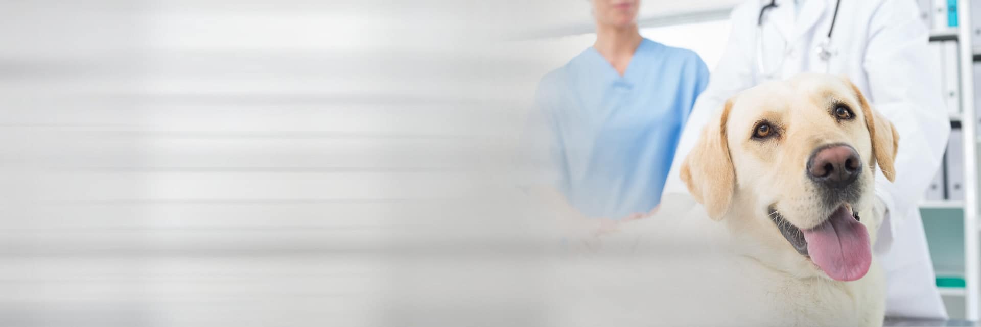 Consumer Product Helpline - First Call Helpdesk